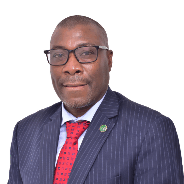 Our Team – The African Association of Accountants General (AAAG)